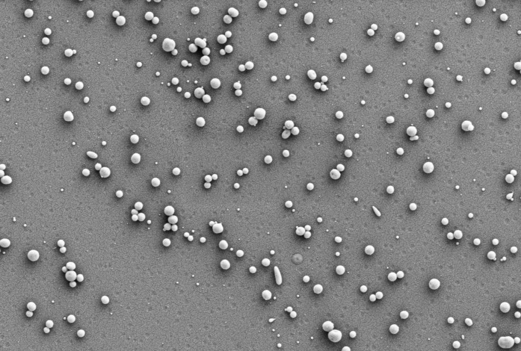 Electron Microscopy Suite