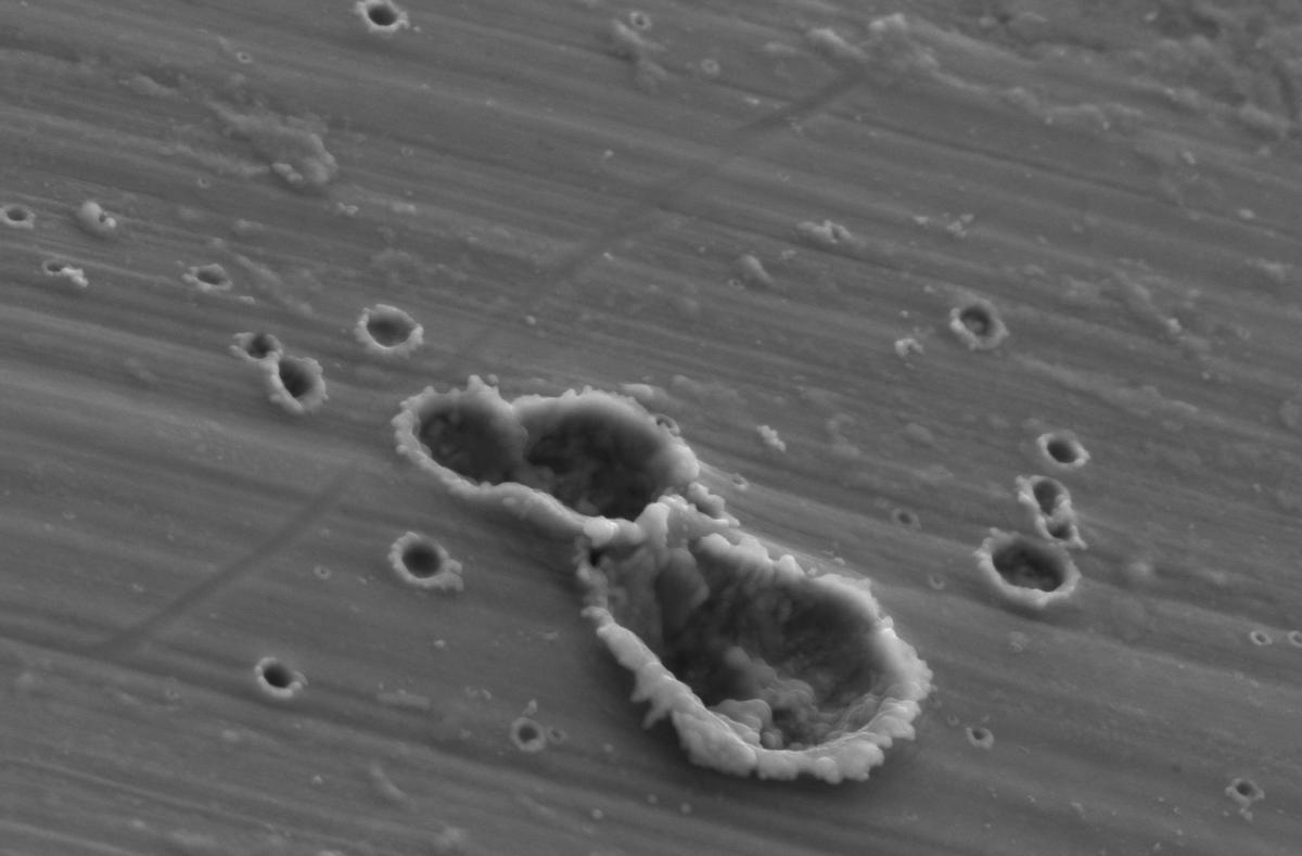 Electron Microscopy Suite