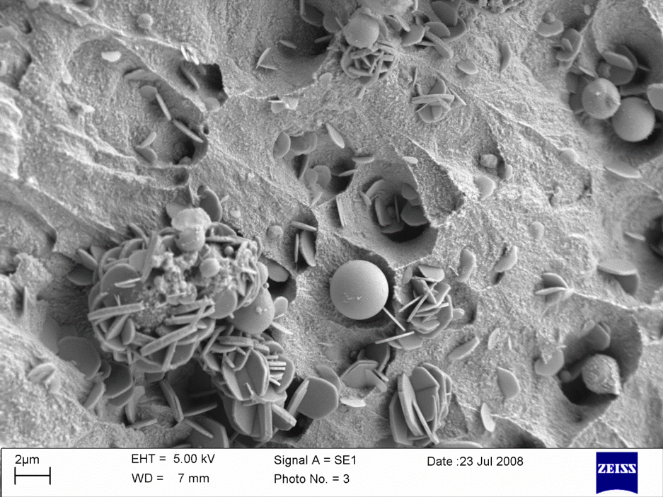 Electron Microscopy Suite