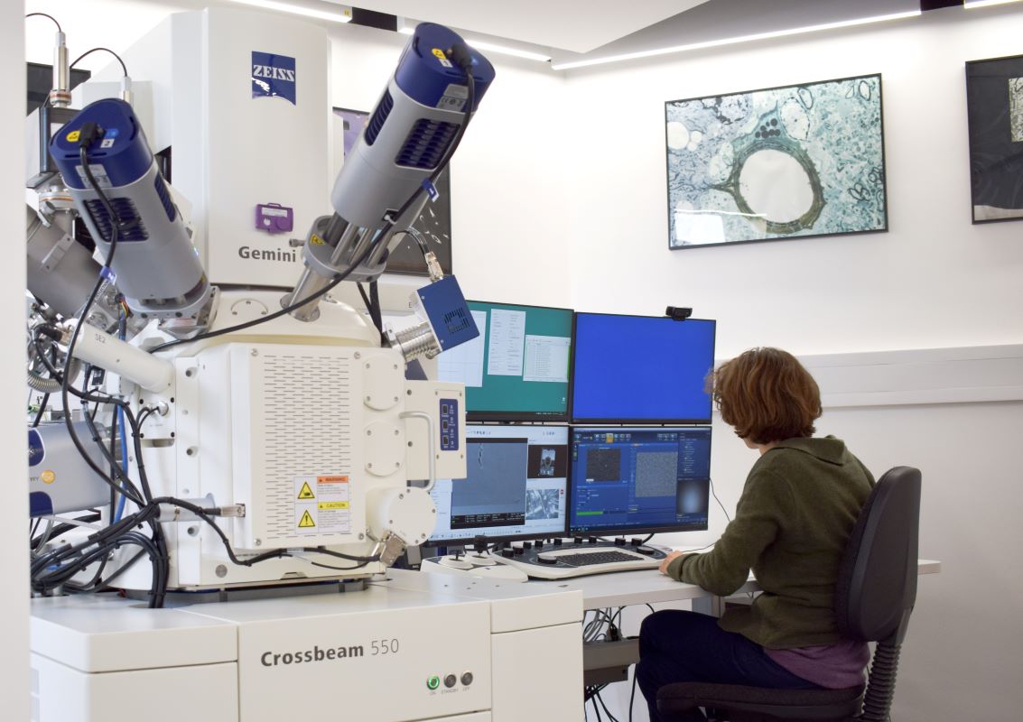Electron Microscopy Suite