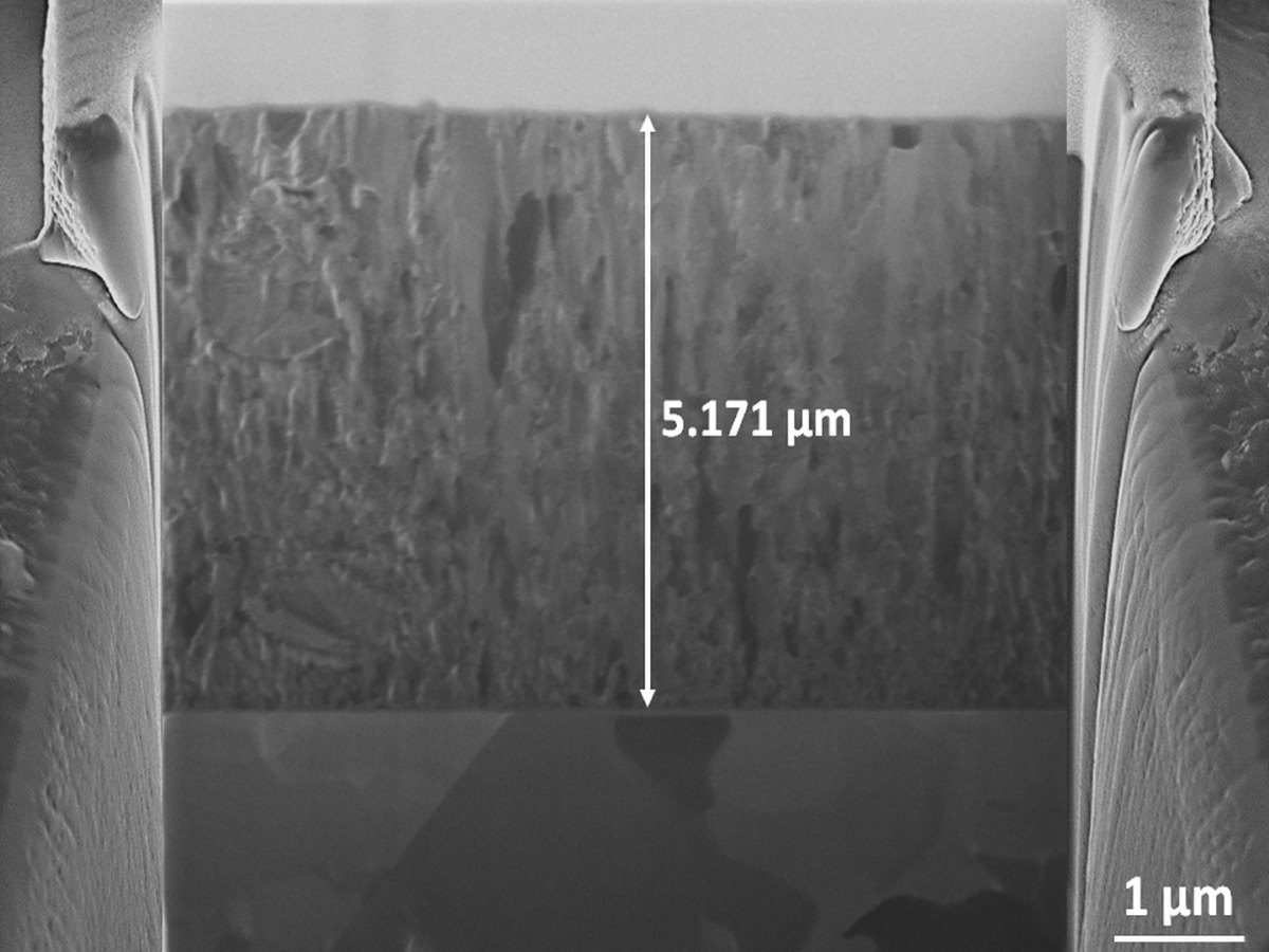 Electron Microscopy Suite