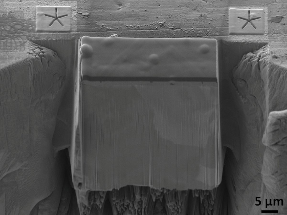 Electron Microscopy Suite