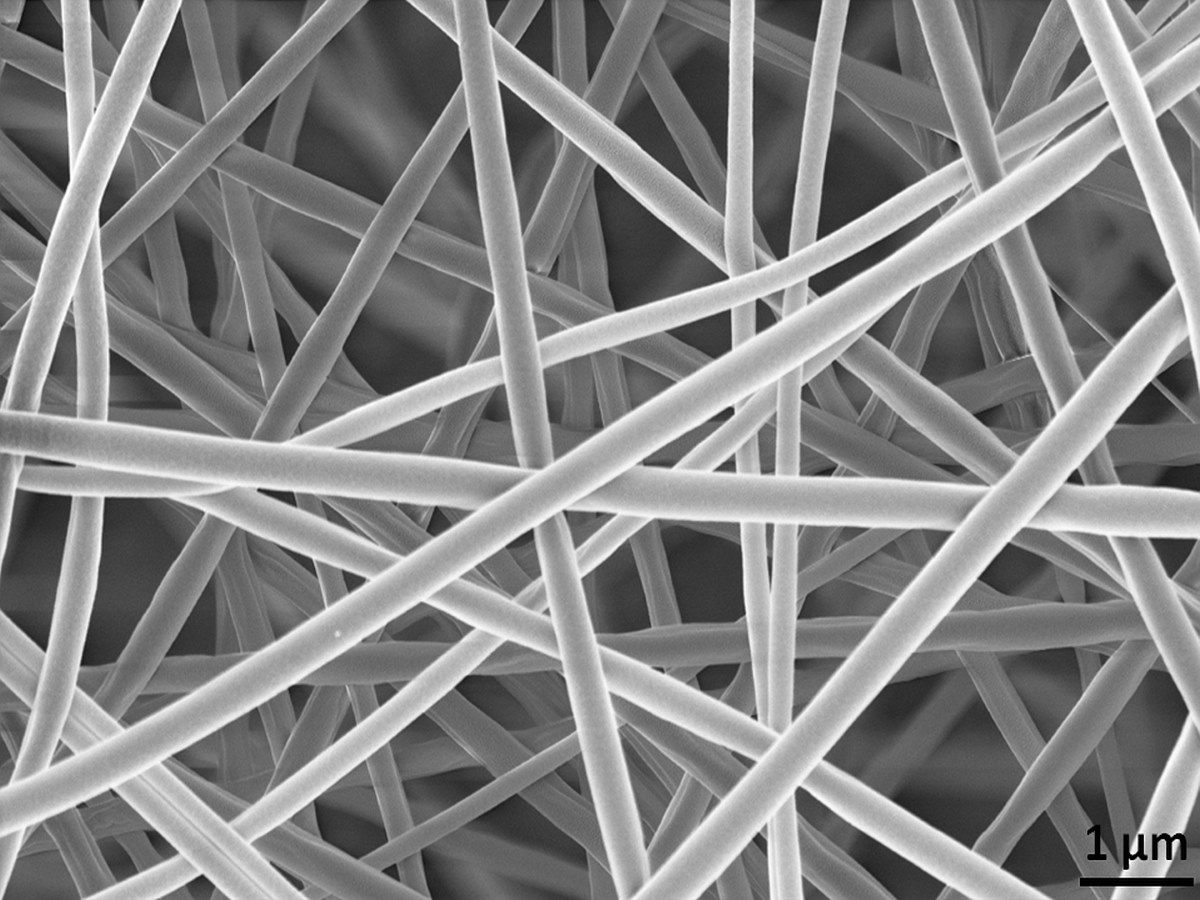 Electron Microscopy Suite