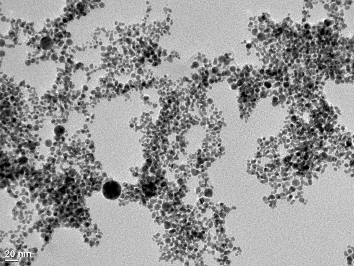 Electron Microscopy Suite