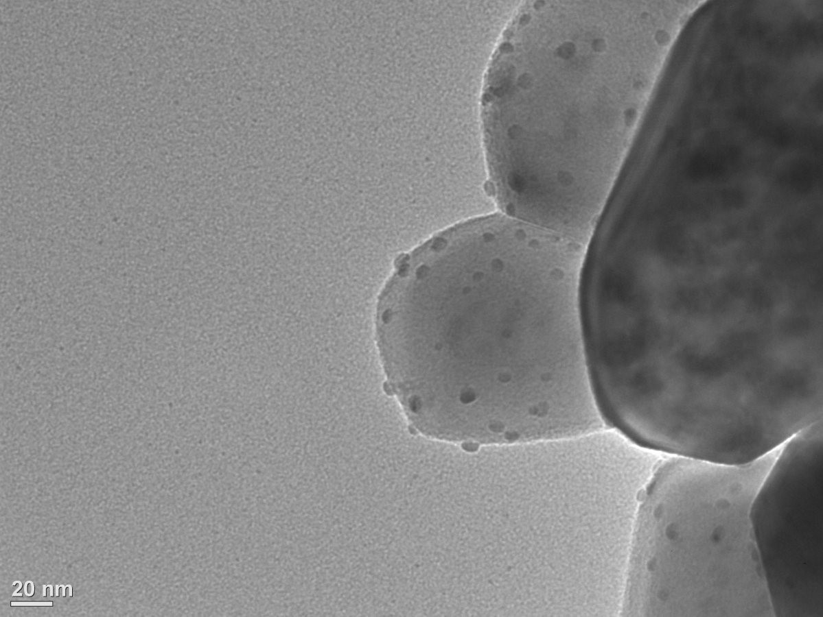 Electron Microscopy Suite